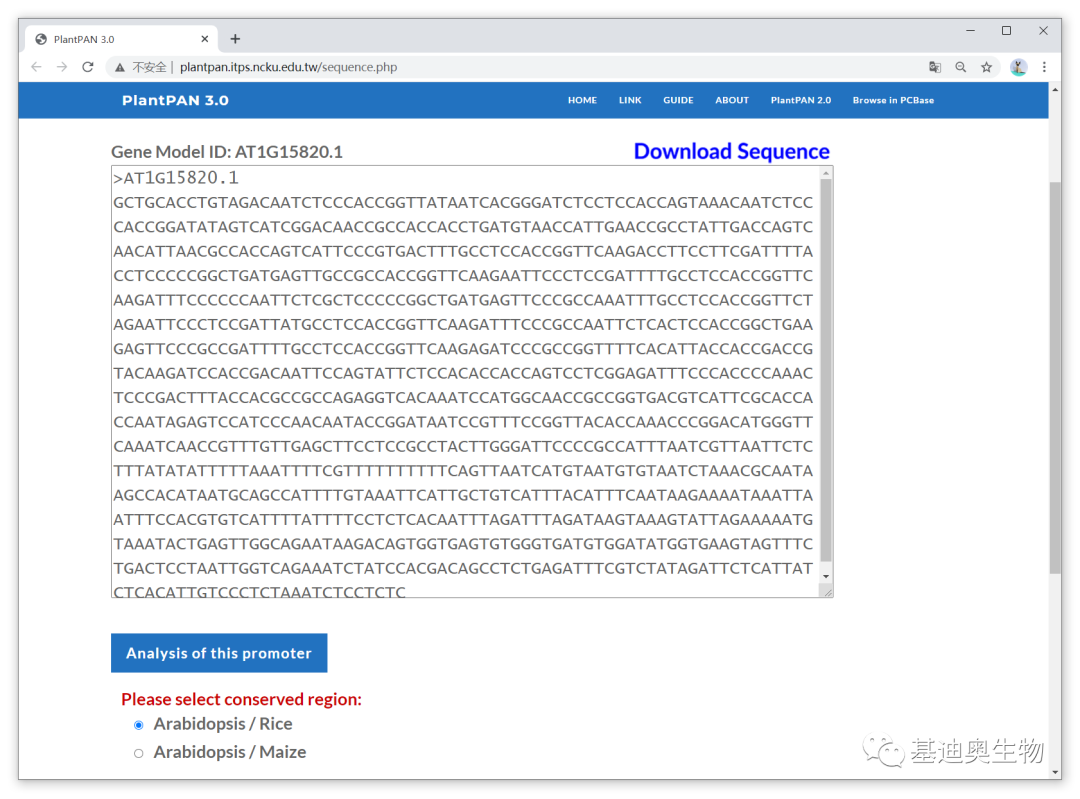 使用PlantPAN 3.0进行启动子和转录因子分析 - 知乎