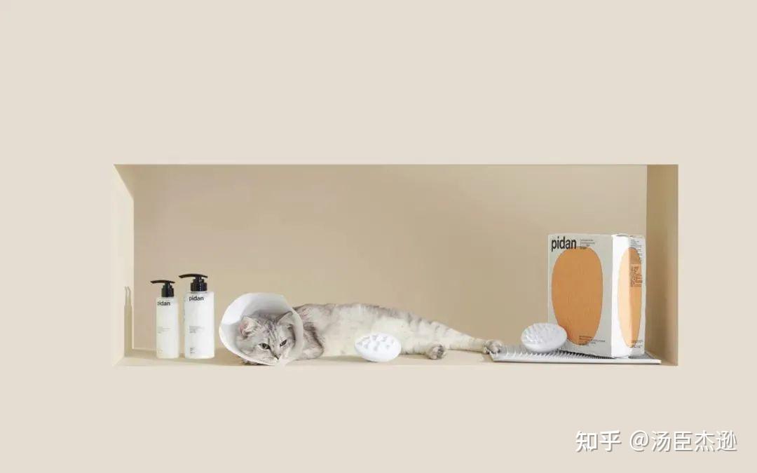 宠物品牌 Pidan 成立仅 6 年凭借着什么登顶品类 Top1？ - 知乎