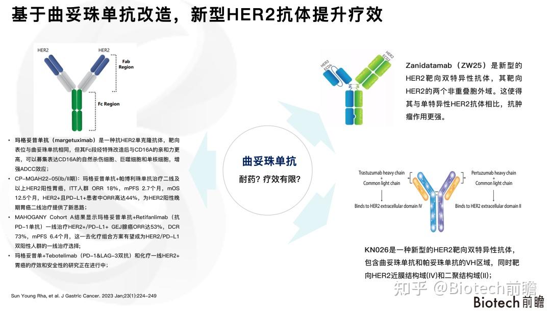 2025CSCO胃癌指南丨Her2表达的临床新定义，从两分类到四分类 - 知乎