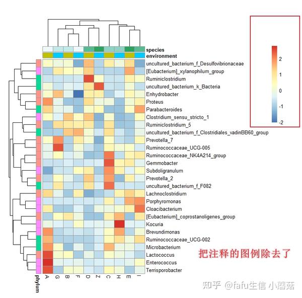 R语言pheatmap包绘制热图进阶教程 - 知乎