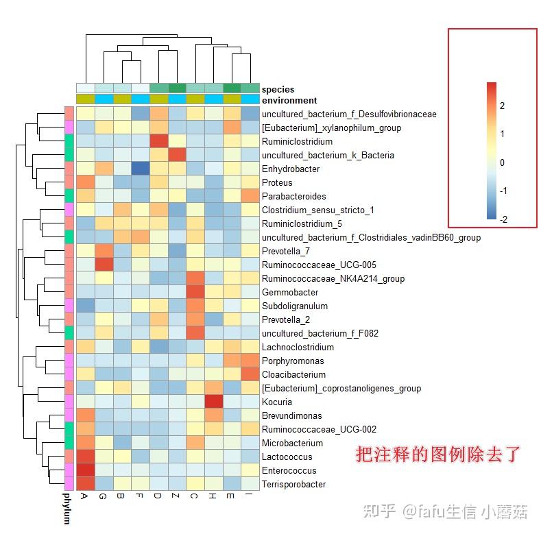 R语言pheatmap包绘制热图进阶教程 - 知乎