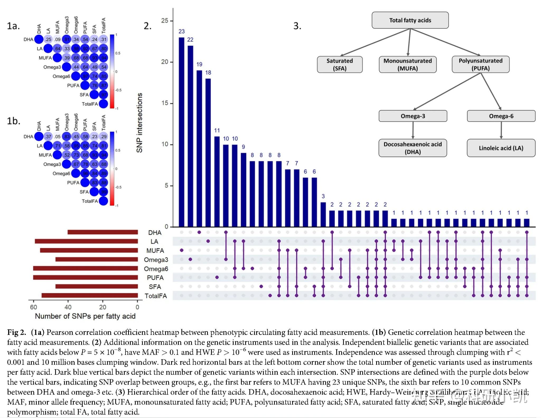 一区15分真香--PheWAS+双样本/多变量MR+MR-BMA PheWAS+MR分析--更完善的MR - 知乎