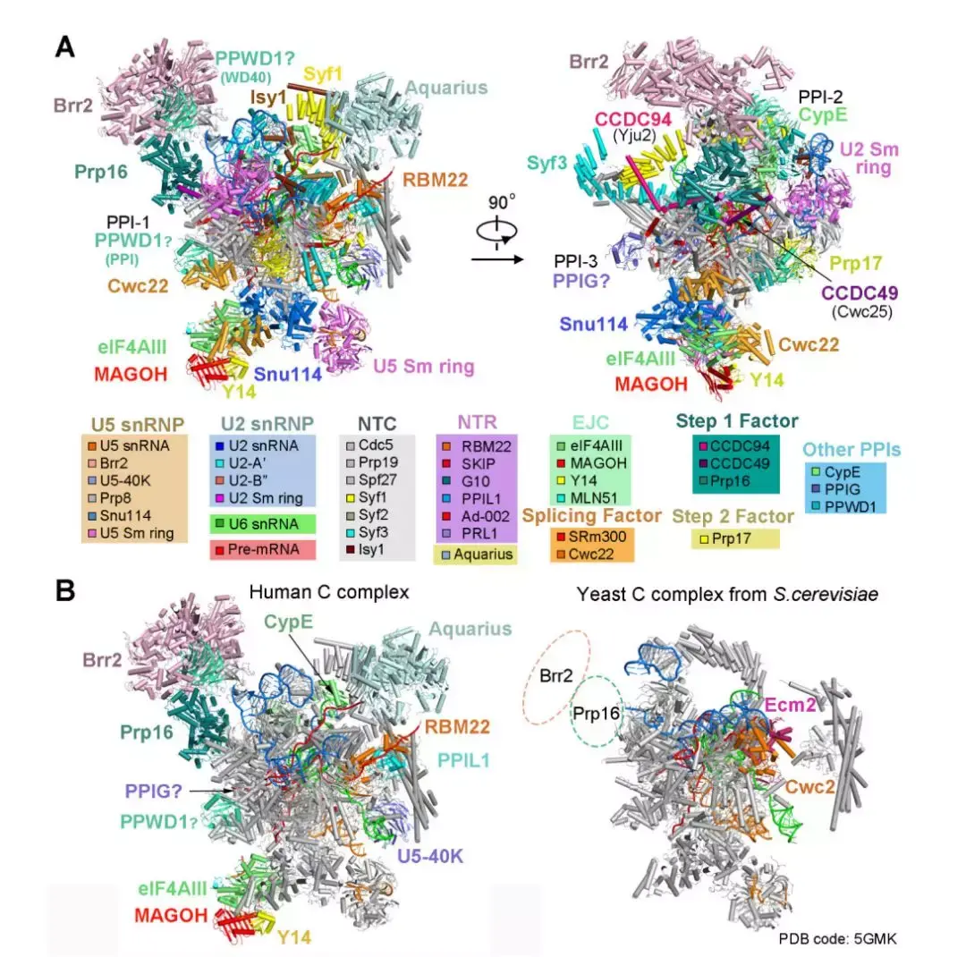 Spliceosome : 聚焦施一公先生 - 知乎
