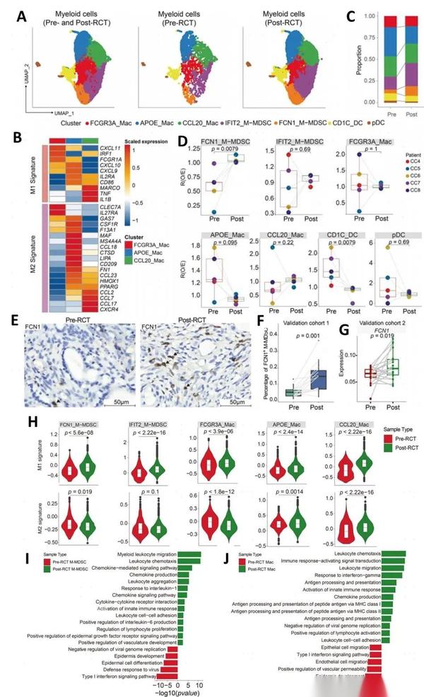 [IF=38]单细胞测序揭示放化疗诱导宫颈癌的先天性免疫激活 - 知乎