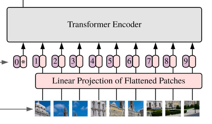 一文窥尽Vision Transformer (ViT) - 知乎