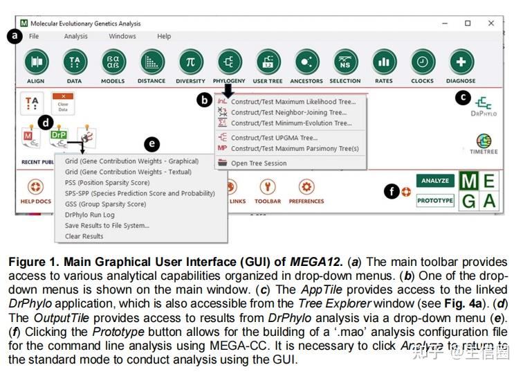 MEGA：新版本12发布！分子进化与系统发育分析软件的强大升级，计算更快更智能！ - 知乎