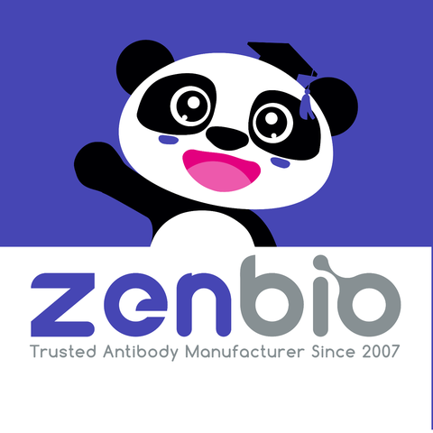 正能ZENBIO - 知乎