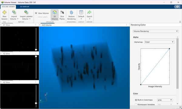 Matlab 读取、查看、保存Tiff - 知乎