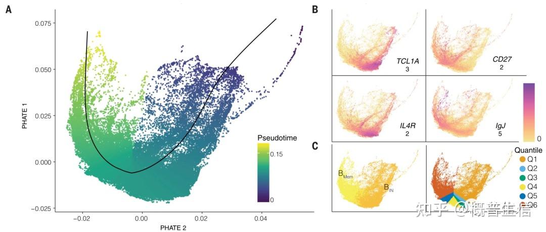 系统解读近些年火爆了的QTL分析 - 知乎