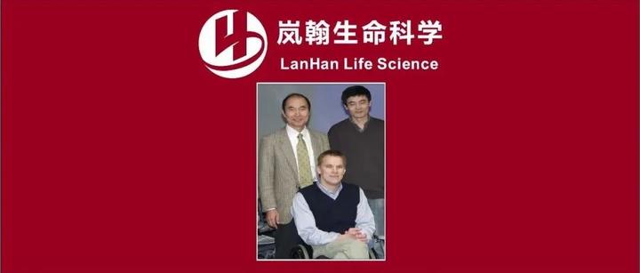 Nat Commun︱卡罗林斯卡医学院发现GIT1抑制乳腺癌生长并可评估患者预后风险 - 知乎