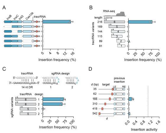 Science：Cas12k！张锋开发CRISPR相关转座酶系统，能将DNA片段精确地插入目标位点 - 知乎
