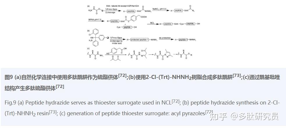 多肽及蛋白质的化学合成研究 - 知乎