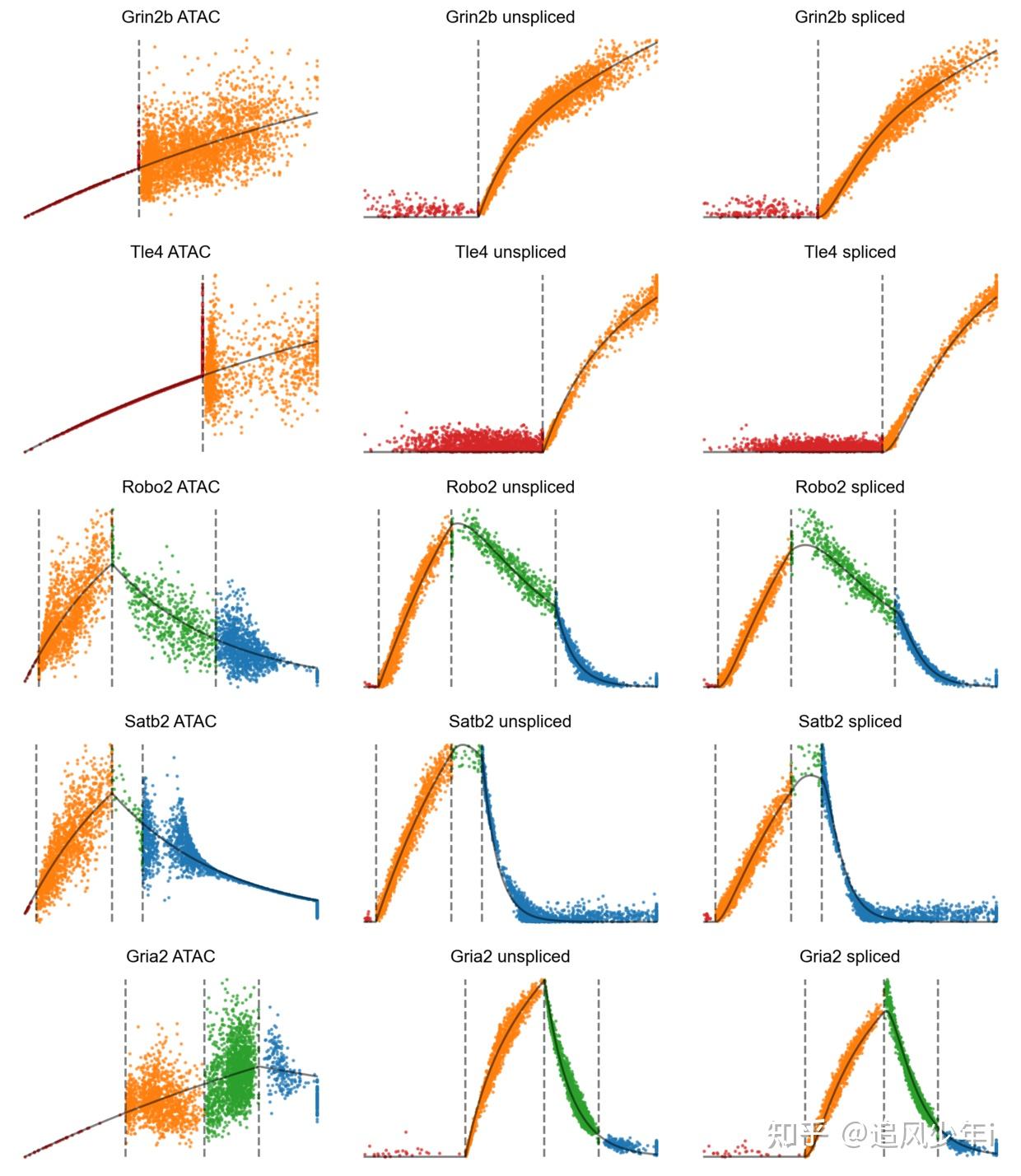 10X单细胞（10X空间转录组）多组学（RNA + ATAC）推断Velovyto（MultiVelo） - 知乎
