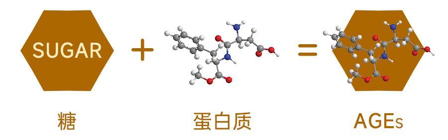 AGEs是什么？对皮肤有什么影响？ - 知乎