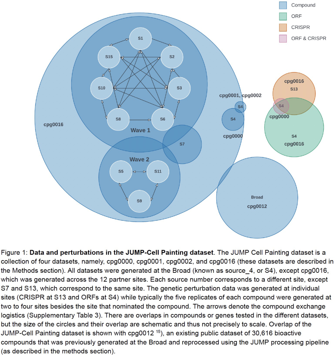 JUMP Cell Painting dataset：136,000个化学和基因扰动的细胞形态影响 - 知乎