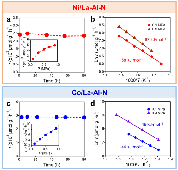 合成氨新突破！今日Angew，超耐用的Ni/Co-LaN催化剂 - 知乎