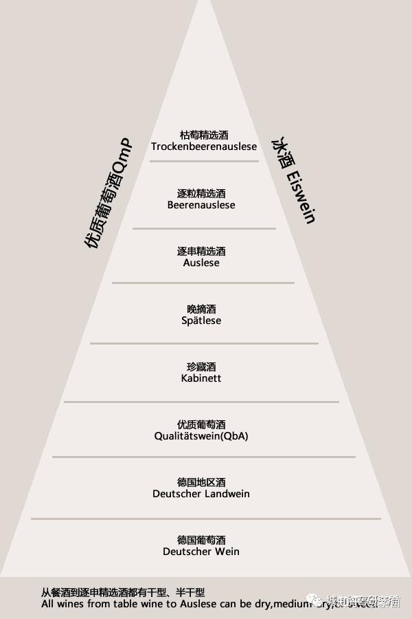 一篇文章了解雷司令 知乎