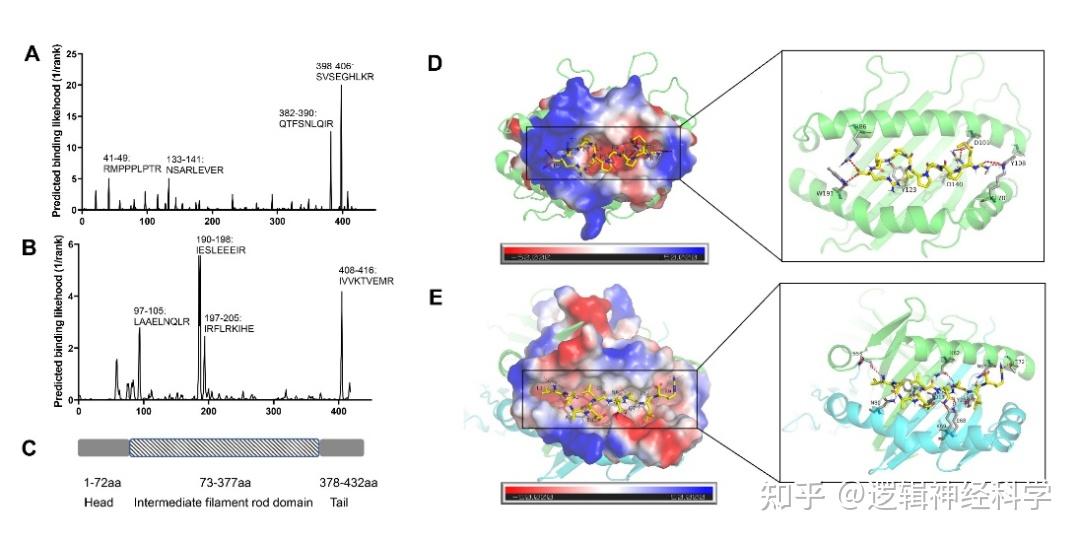 Ann Neurol｜中山大学附属第三医院脑病中心神经免疫团队合作揭示自身免疫性脑炎遗传的新机制 - 知乎