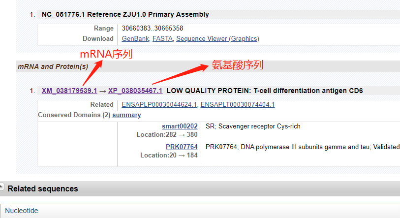 如何从NCBI下载目的基因的mRNA序列（保姆级教程） - 知乎