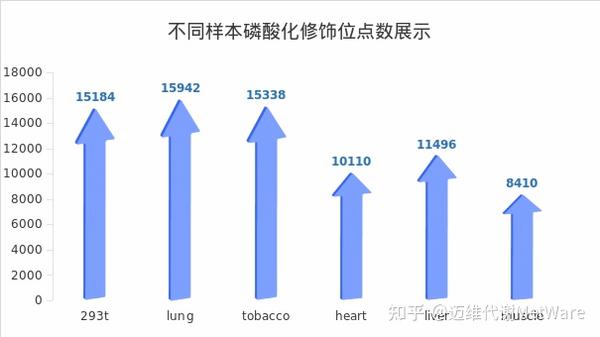 新品发布！限时特惠！4D-label free磷酸化蛋白组 - 知乎