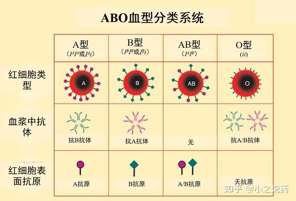 熊猫血、黄金血、恐龙血，人体共38种血型分类系统 - 知乎