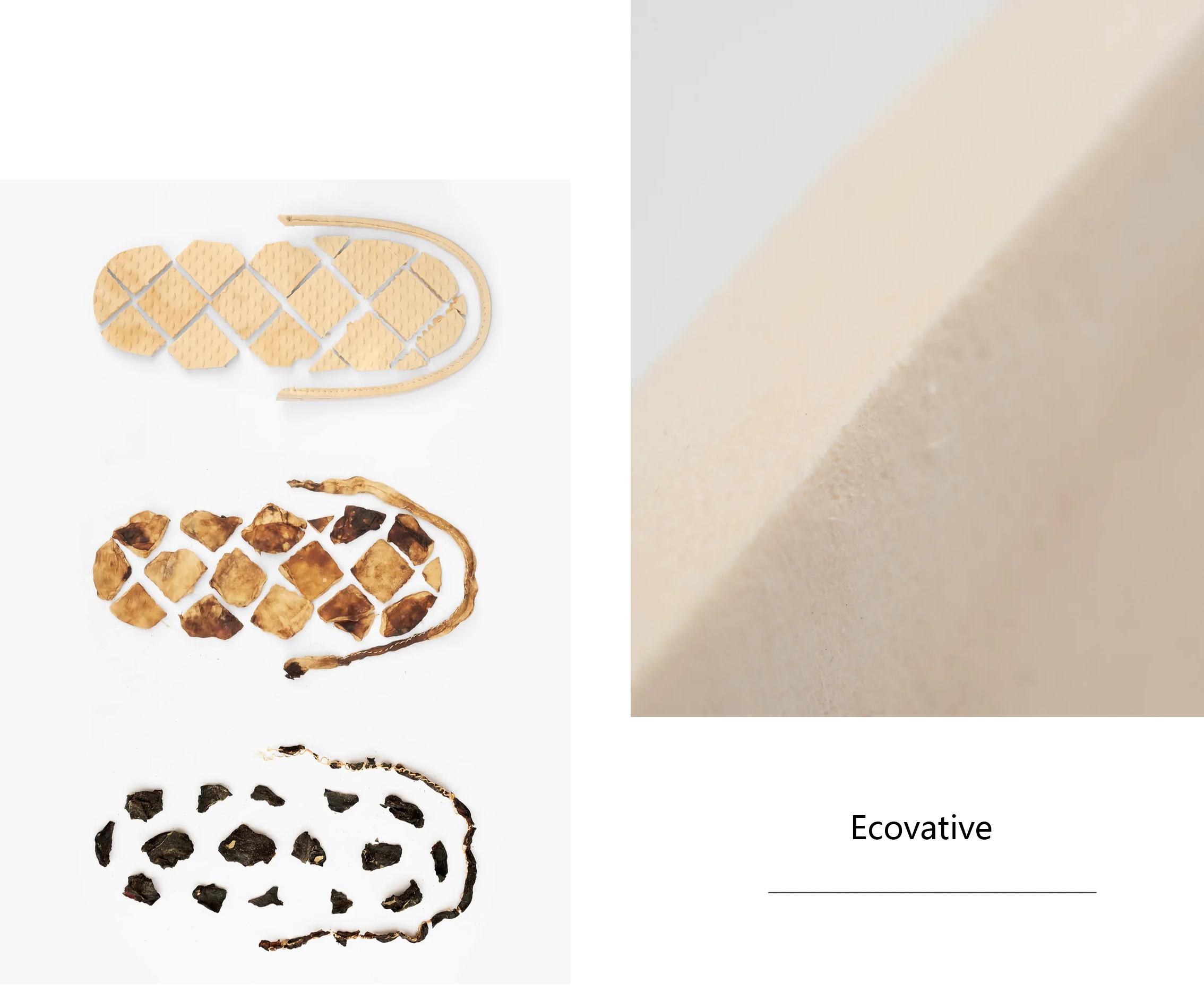 面料趋势 | 菌丝体为绿色时尚蓄力 - 知乎