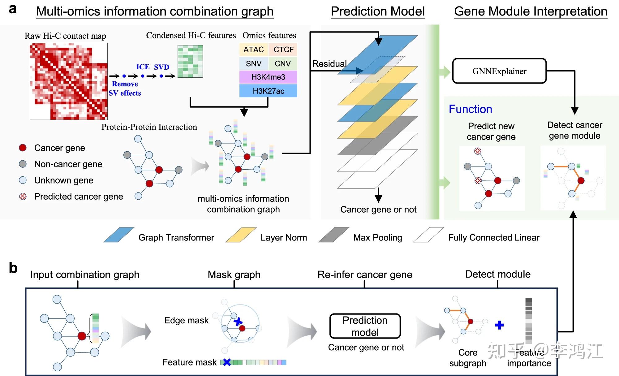 文献阅读（1)：CGMega 具有用于癌症基因模块解剖的注意力机制的可解释神经网络框架 - 知乎