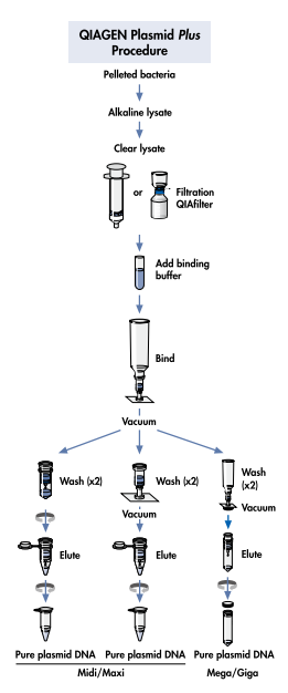 质粒纯化第二弹：无内毒素质粒提取方法大全 - 知乎