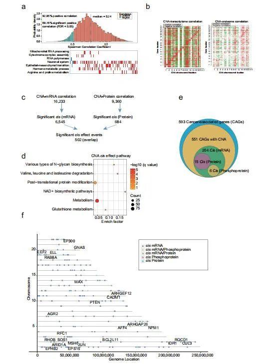 Cell Res | 大规模多组学分析发现垂体瘤组织亚型与靶点 - 知乎