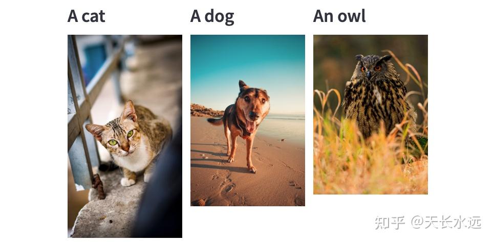 Streamlit - Get Started - 知乎