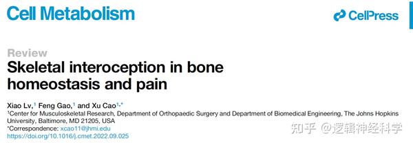 Cell Metab 综述︱曹旭团队评述骨内感知系统调控骨稳态及骨痛 - 知乎