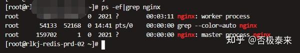 Nginx反向代理 访问 知乎