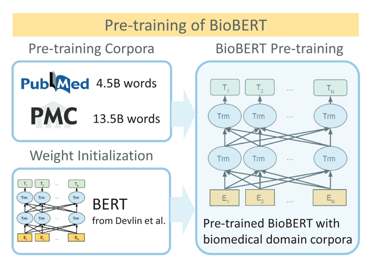 [27] BioBERT: 生物医学领域自己的 BERT 模型 - 知乎