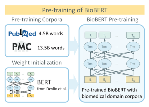 [27] BioBERT: 生物医学领域自己的 BERT 模型 - 知乎