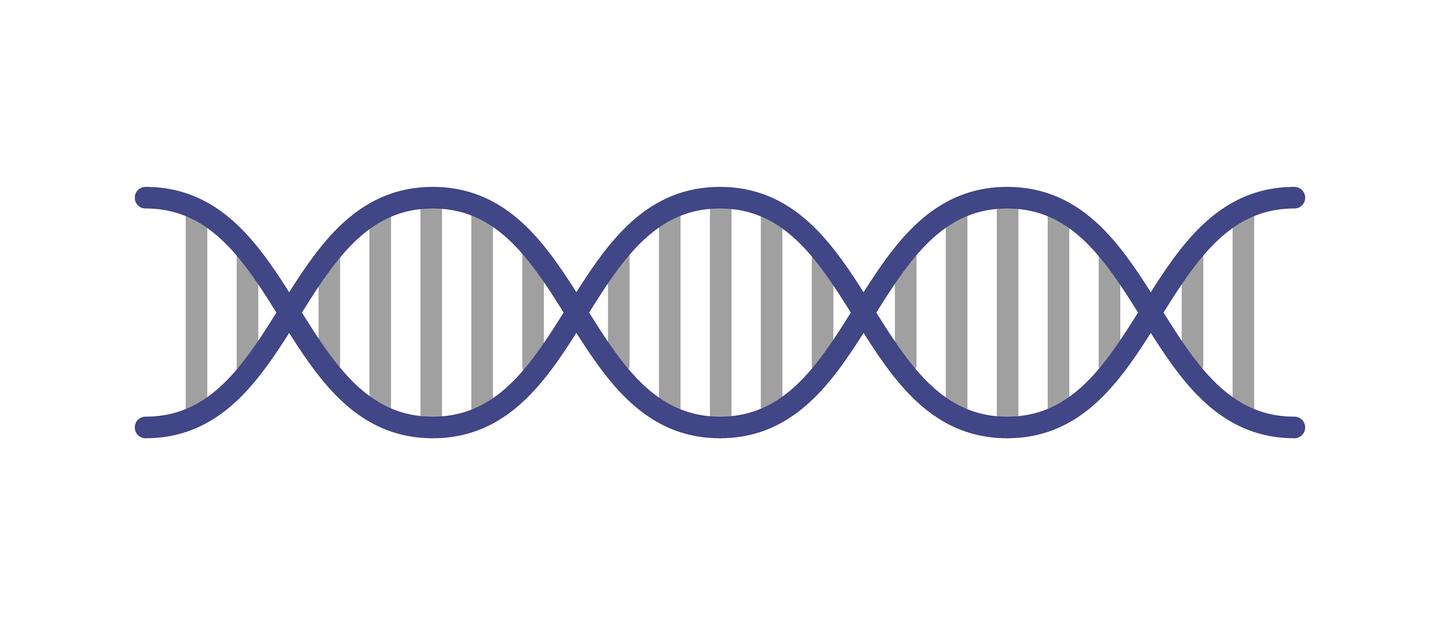 【科研绘图】用Adobe Illustrator轻松绘制DNA的秘诀 - 知乎