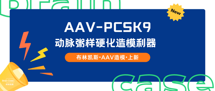 AAV-PCSK9 | 动脉粥样硬化造模利器 - 知乎