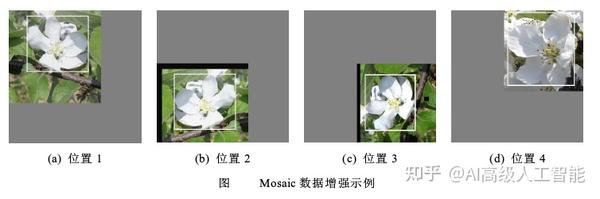 Mosaic 数据增强 知乎