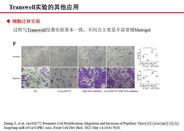 Transwell实验技术 - 知乎