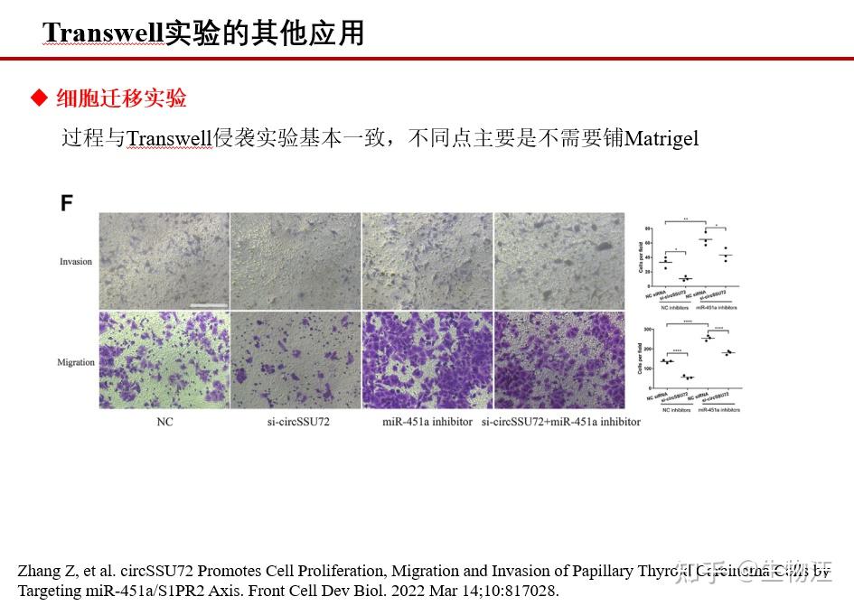 Transwell实验技术 - 知乎