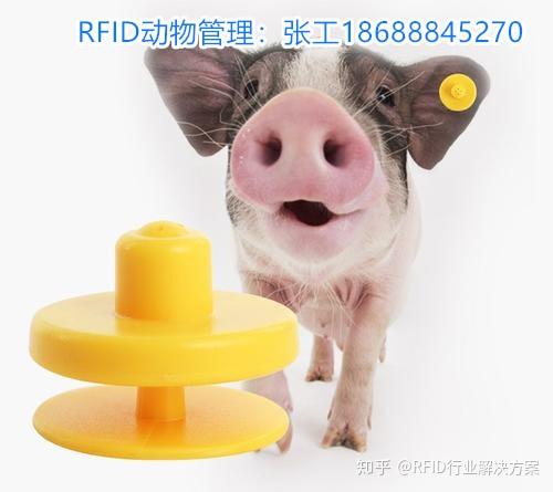 畜牧业动物管理中用了RFID技术，原来有这么多好处 - 知乎