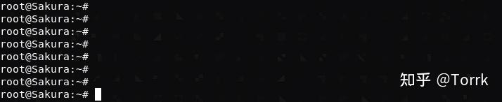 kali自定义shell终端用户名和主机名颜色和格式 - 知乎