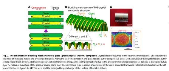 扫描电镜助力 3D 仿生金属含羞草的研究，科研成果发表在 Science Advances - 知乎