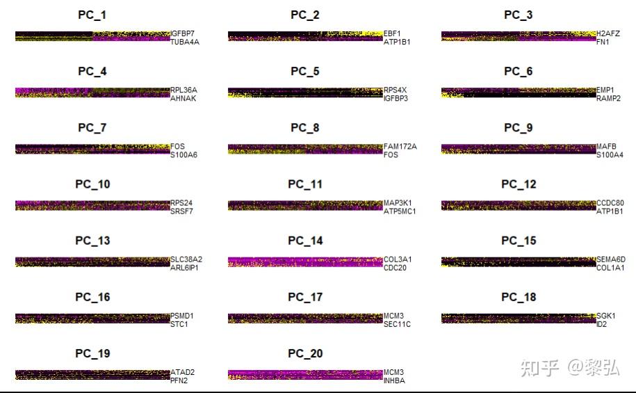 单细胞数据分析流程（cellranger、Seurat、singleR） - 知乎