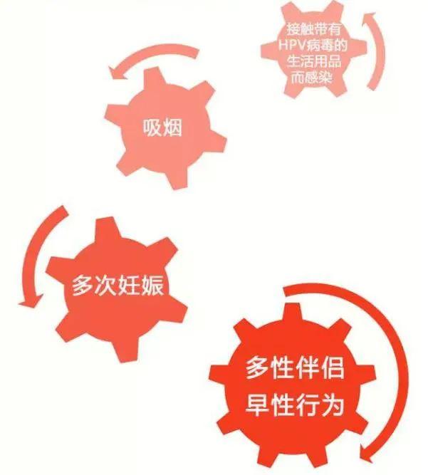 图解：宫颈癌的病发过程 知乎