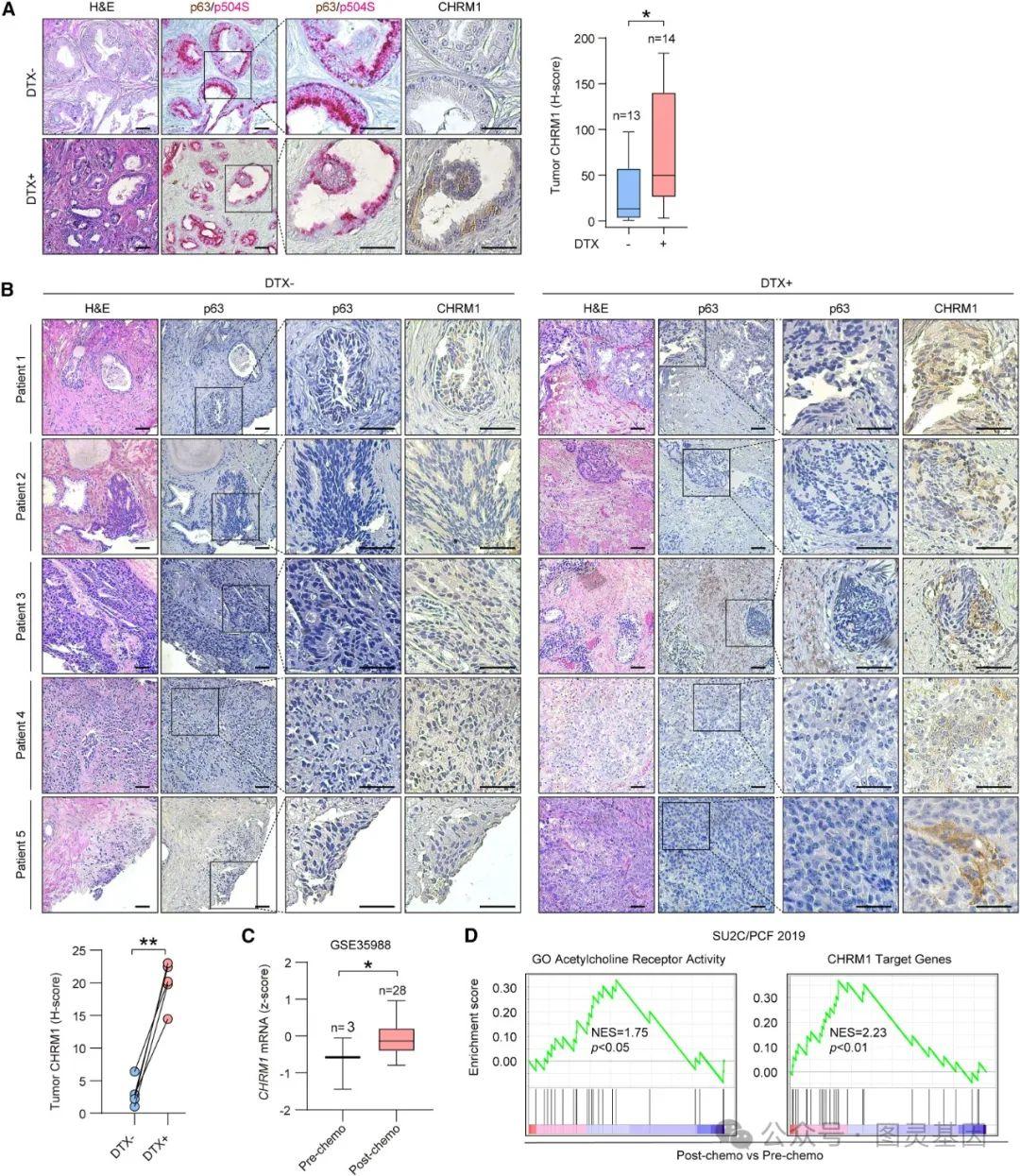 Cell Rep Med | 找到多西他塞化疗耐药关键受体蛋白，已有药物可用 - 知乎