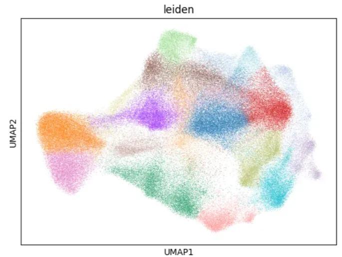 Squidpy空转分析教程：基于Xenium数据的空间转录组分析 - 知乎