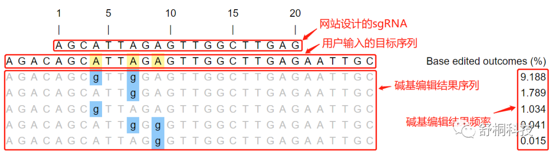 基因编辑工具分享（九）| Base editing的sgRNA如何设计筛选？ - 知乎