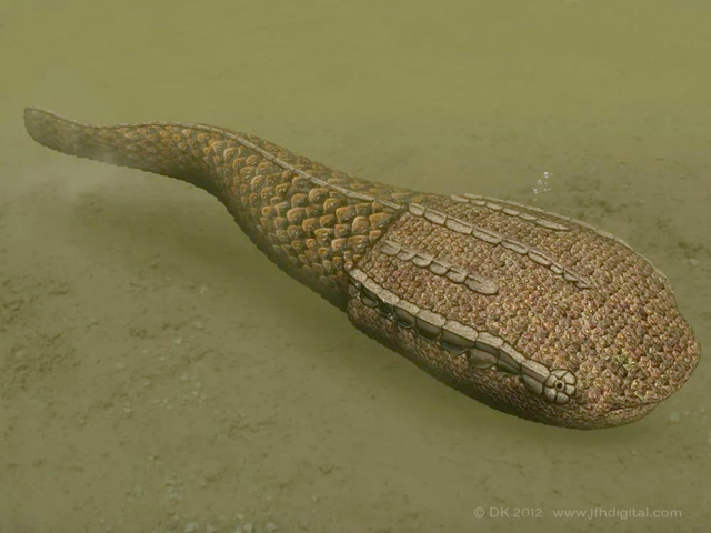 灭绝5亿年的萨卡班甲鱼，在游戏里一遍遍复活 - 知乎