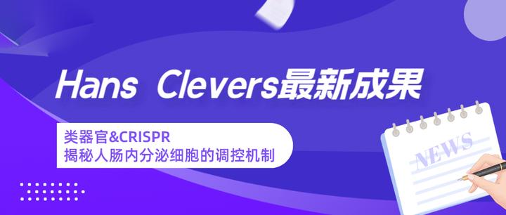 Hans Clevers最新成果 | 类器官&CRISPR揭秘人肠内分泌细胞的调控机制 - 知乎