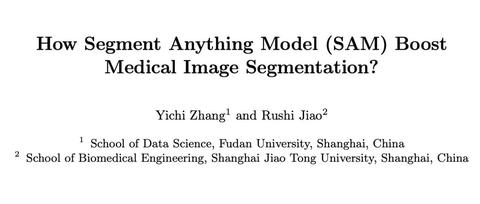 【速读】MedSAM: Segment Anything in Medical Images - 知乎